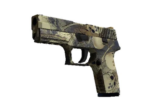 P250 | Contamination - CSGO Skin Price & Details